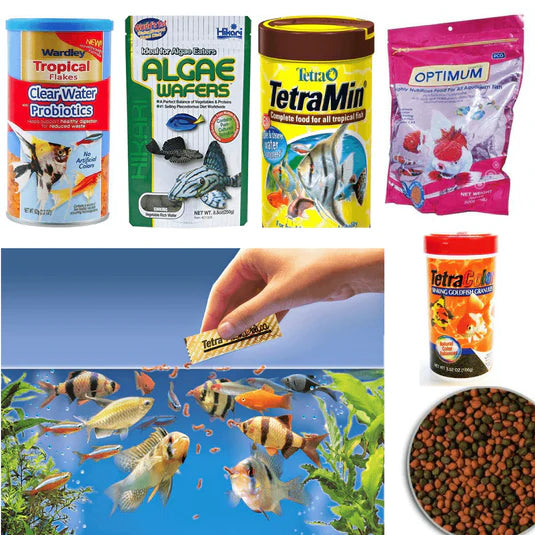 Shop Fish Food at FRESHWATERAQUATICA | FRESHWATERAQUATICA